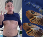 Hawaiian swimmer fast-pitches attacking cookiecutter sharks