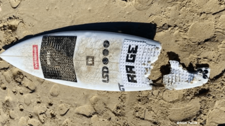 2024 Shark Attack • Tracking Sharks